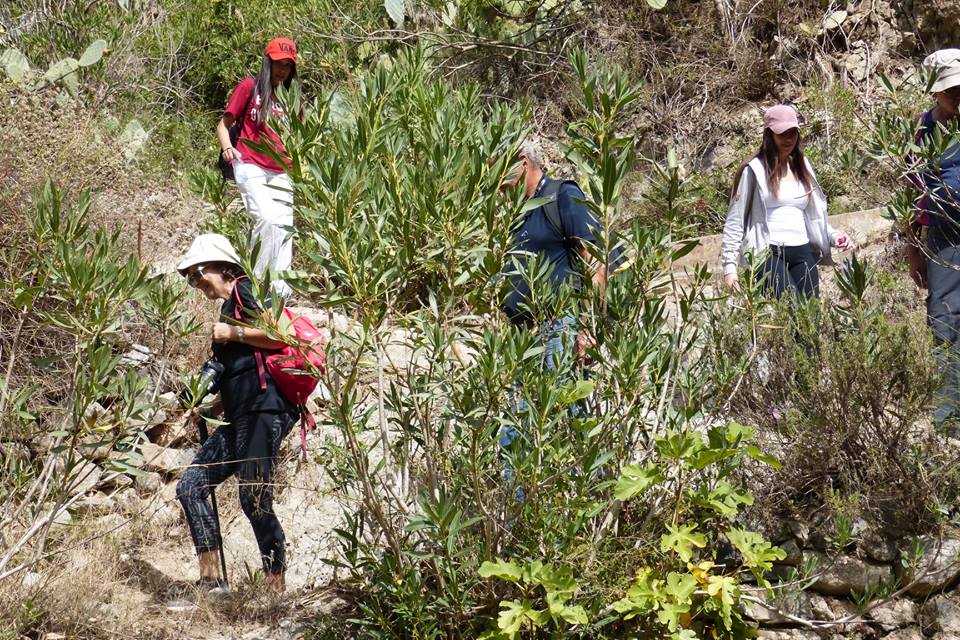 Discover the Forested Side of Morocco: 10 Breathtaking Morocco Forestes ...